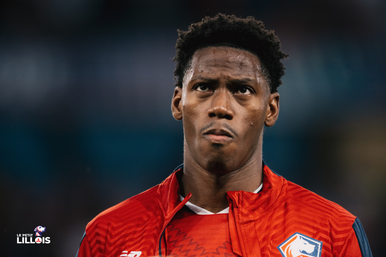 "Ma célébration ? C'était la joie du relâchement" confie Jonathan David ...